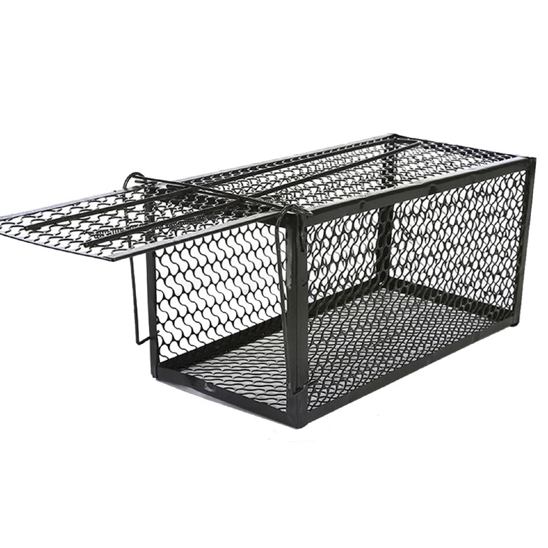 IoT Project – Mycest.com